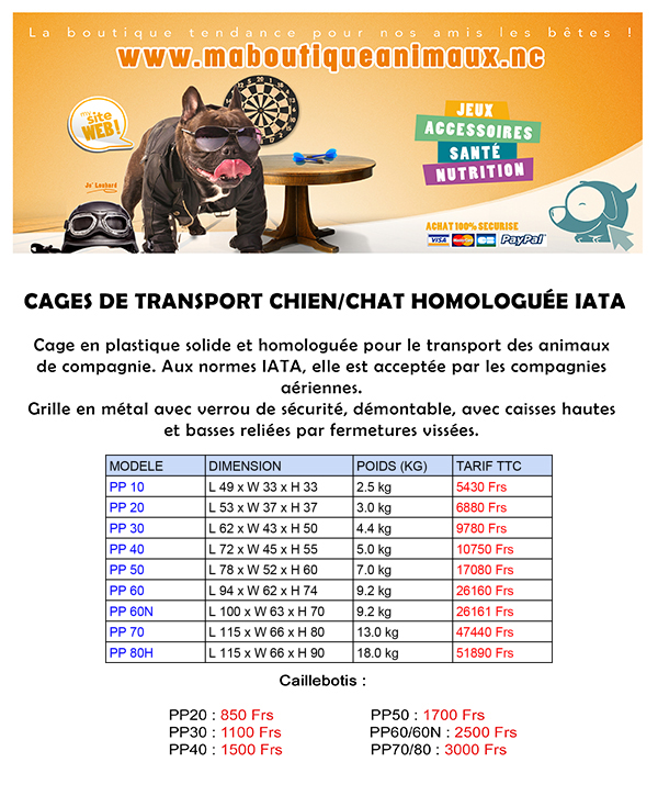 Cage de transport PP aux normes IATA - Ma boutique animaux NC